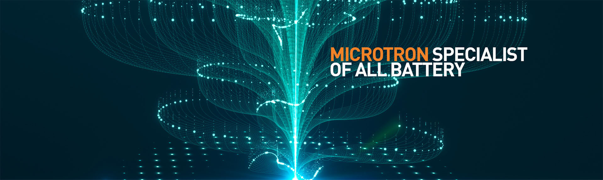Company - MICROTRON